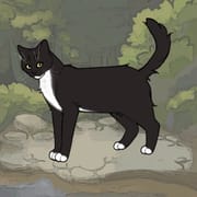 Warrior Cat Maker | meiker.io