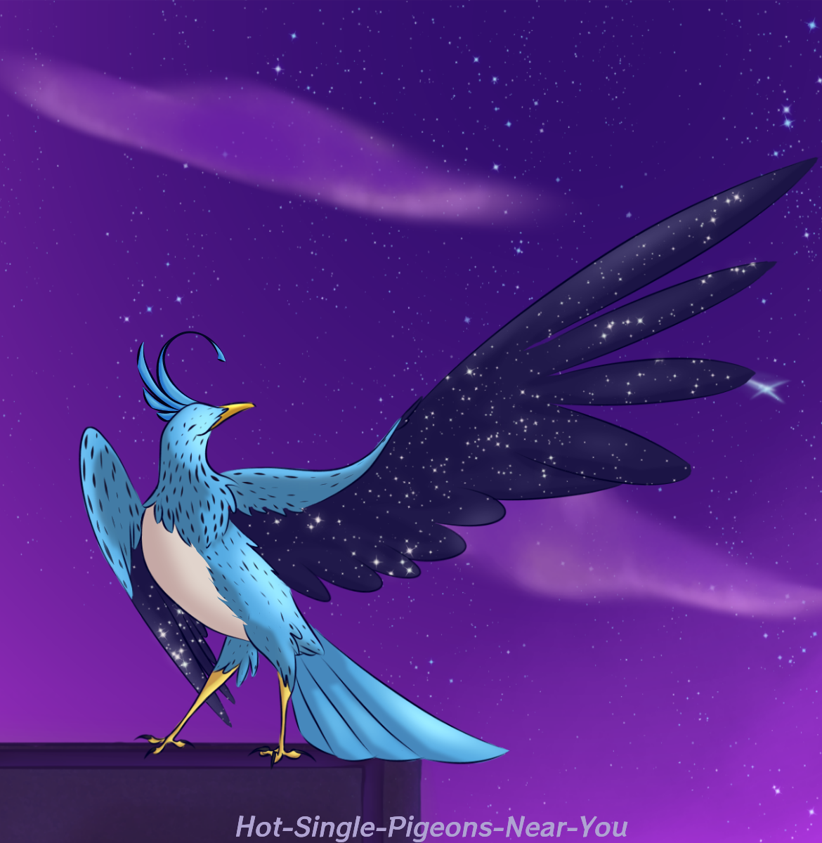 Bird Maker - ZA | meiker.io