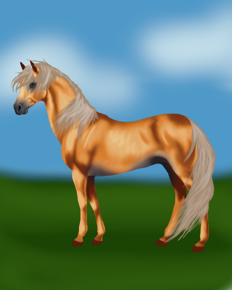 Realistic Horse Maker - ZA | meiker.io